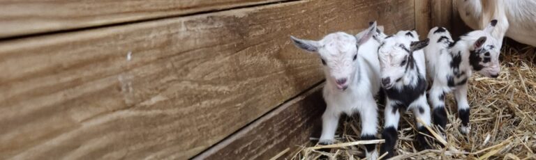 Our Story - Smithills Open Farm