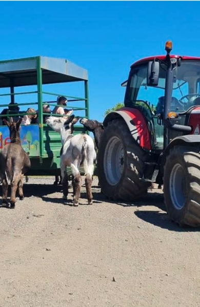 Tractor Rides - Smithills Open Farm