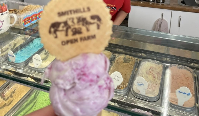 Farm Ice Cream - Smithills Open Farm