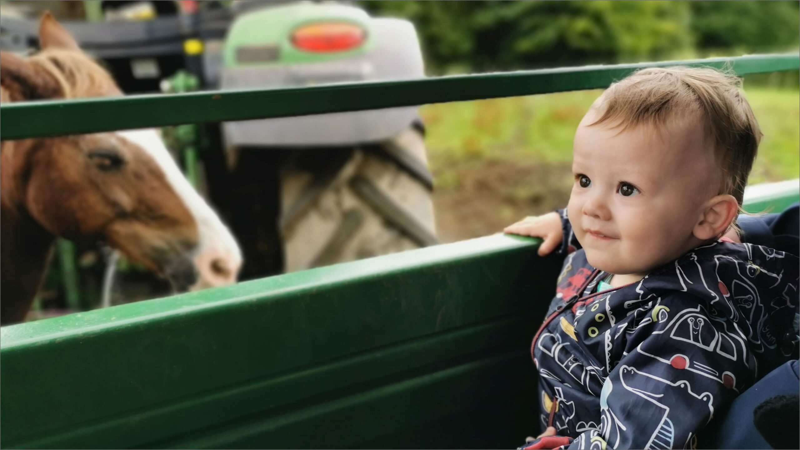 Home - Smithills Open Farm